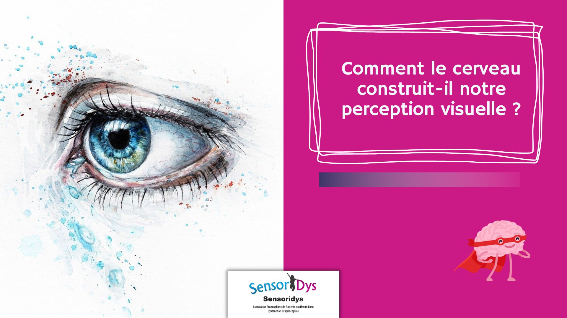 Comment le cerveau construit-il notre perception visuelle ? – SensoriDys