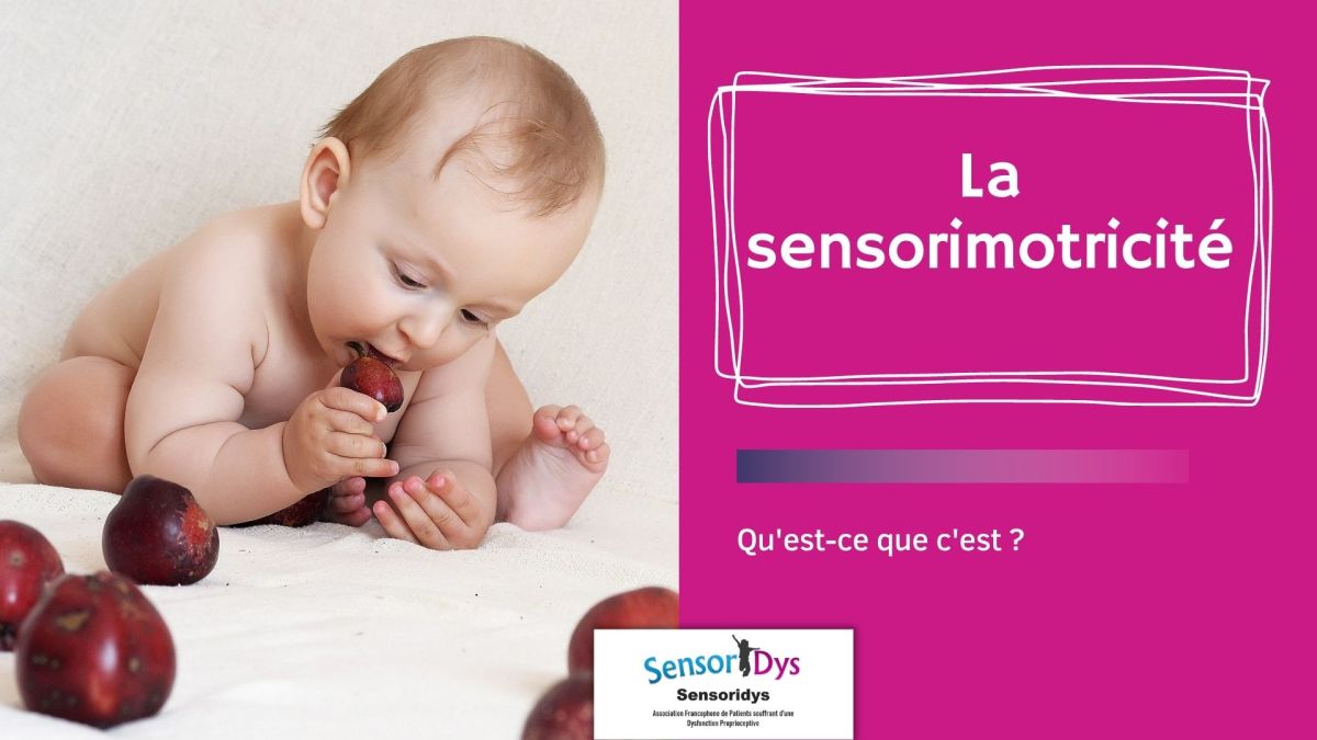 La sensorimotricité – SensoriDys