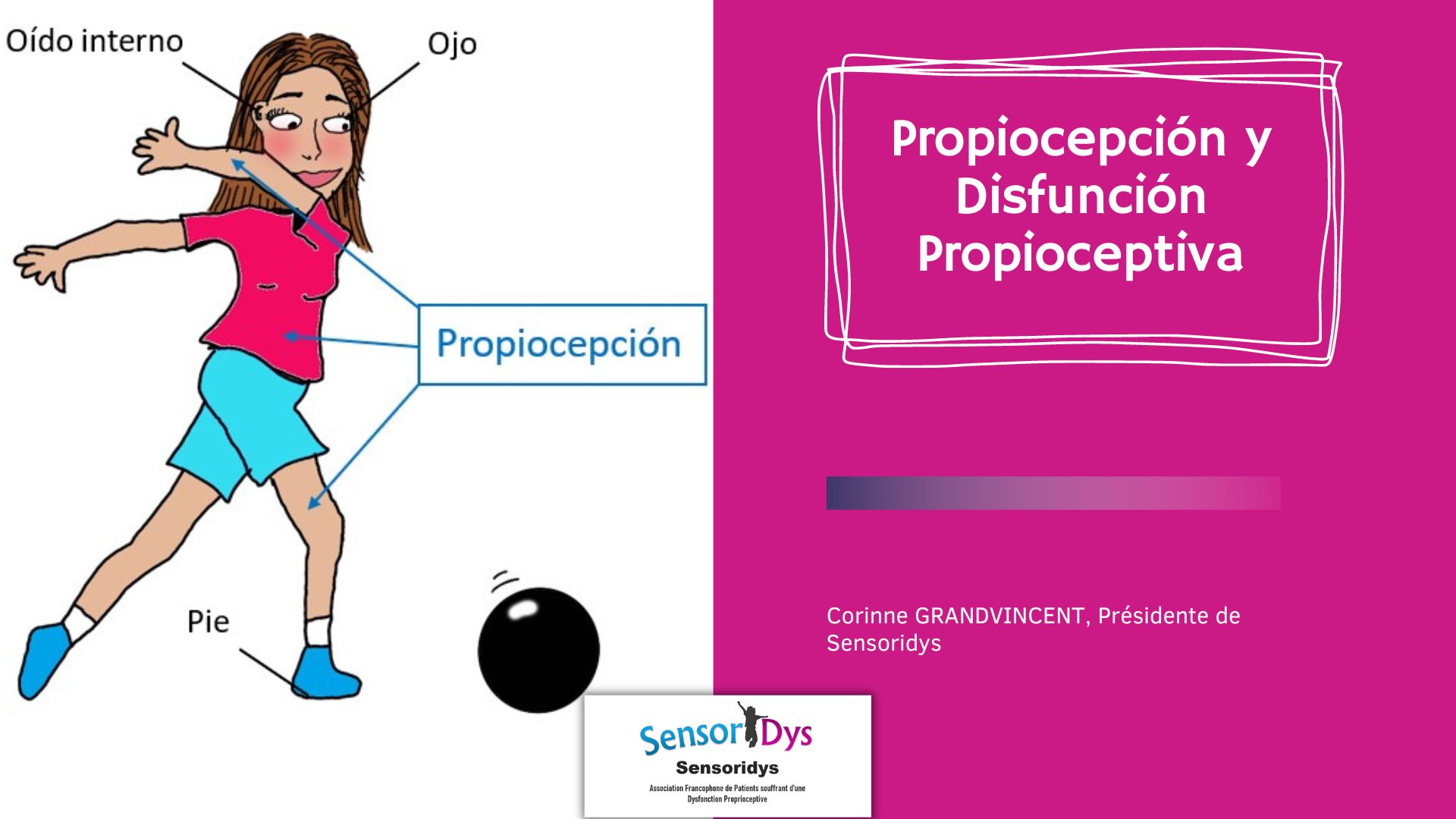 Propiocepción y Disfunción Propioceptiva – SensoriDys