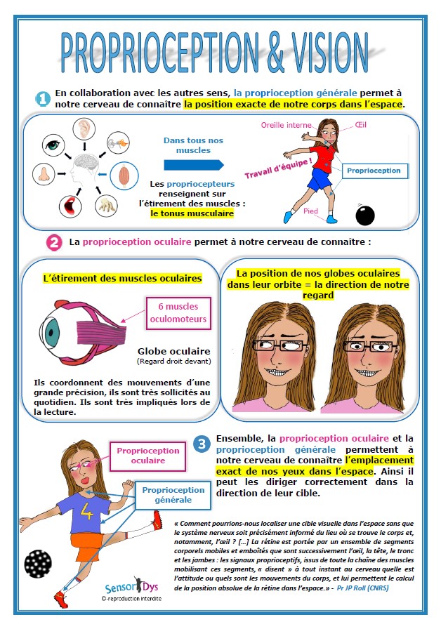 Proprioception et Vision / Infographie – SensoriDys